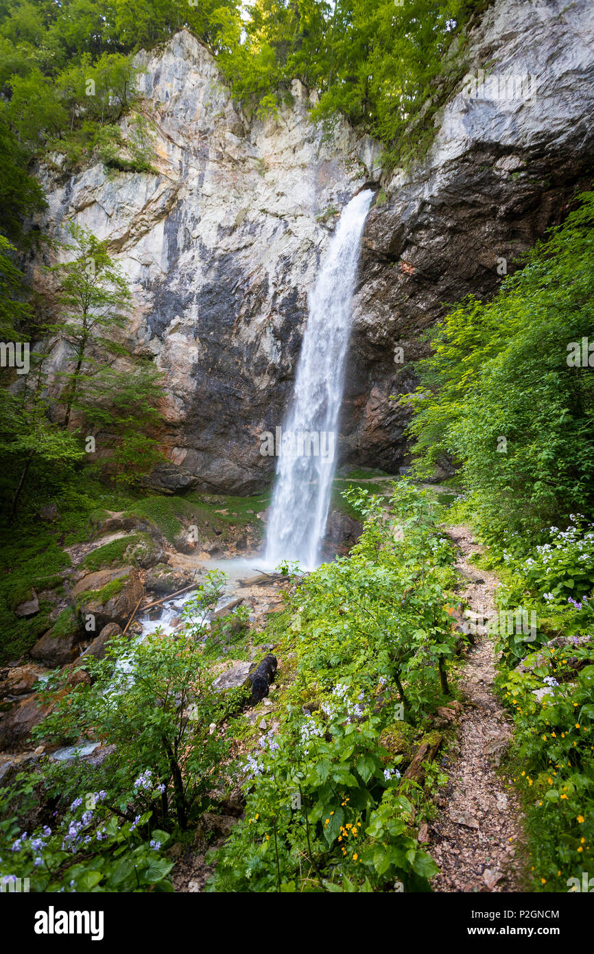 giant big waterfall called Wildensteiner waterfall in austria Stock ...