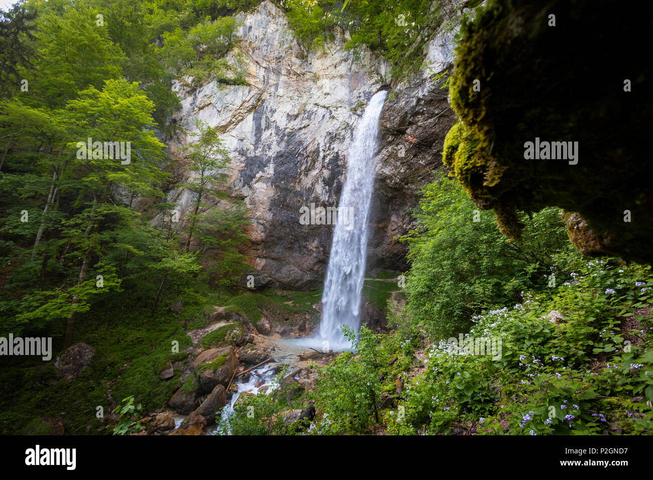 giant big waterfall called Wildensteiner waterfall in austria Stock ...