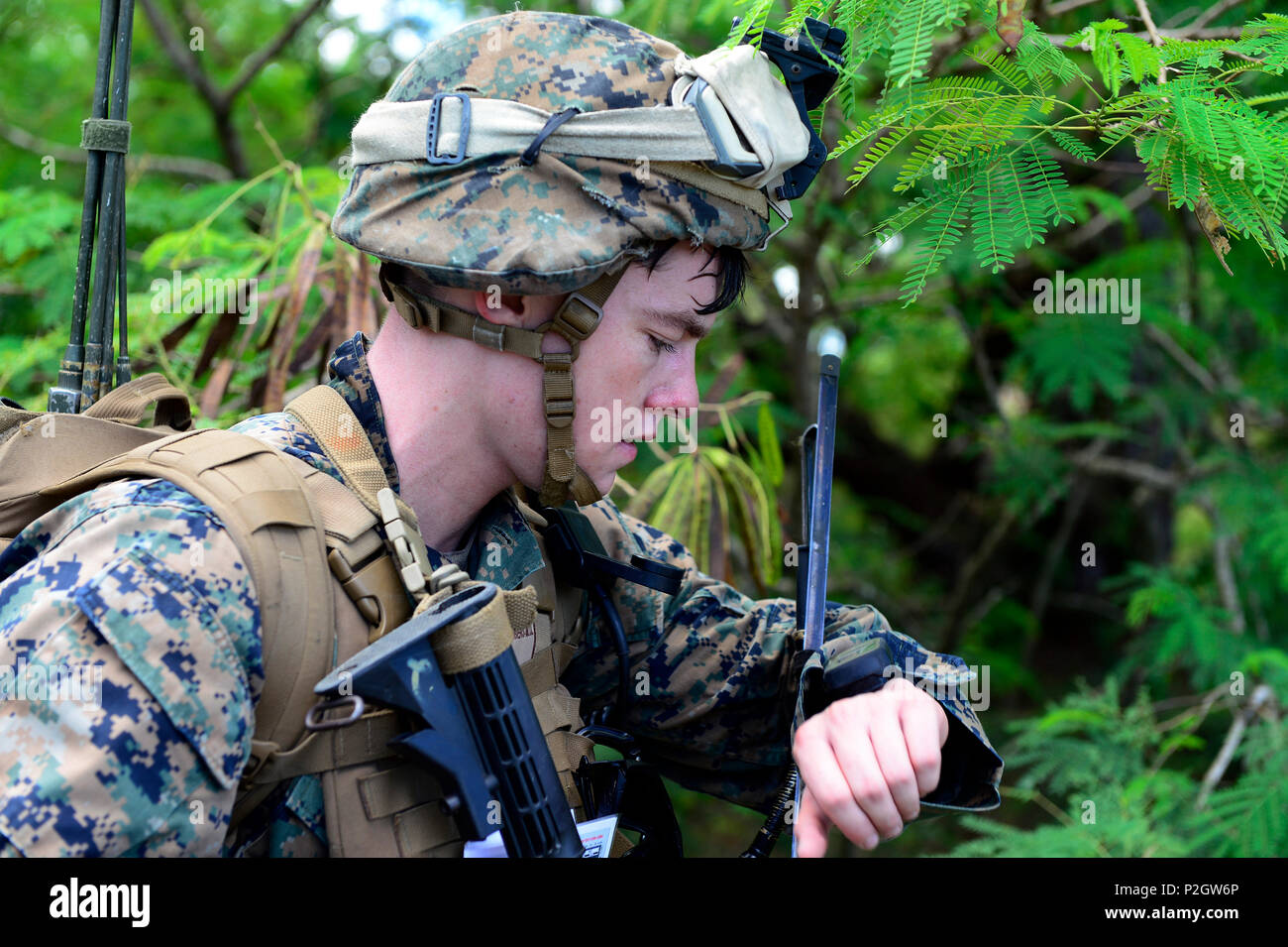 Cpl. Michael Chambers, rifleman and squad leader with 2nd Battalion ...