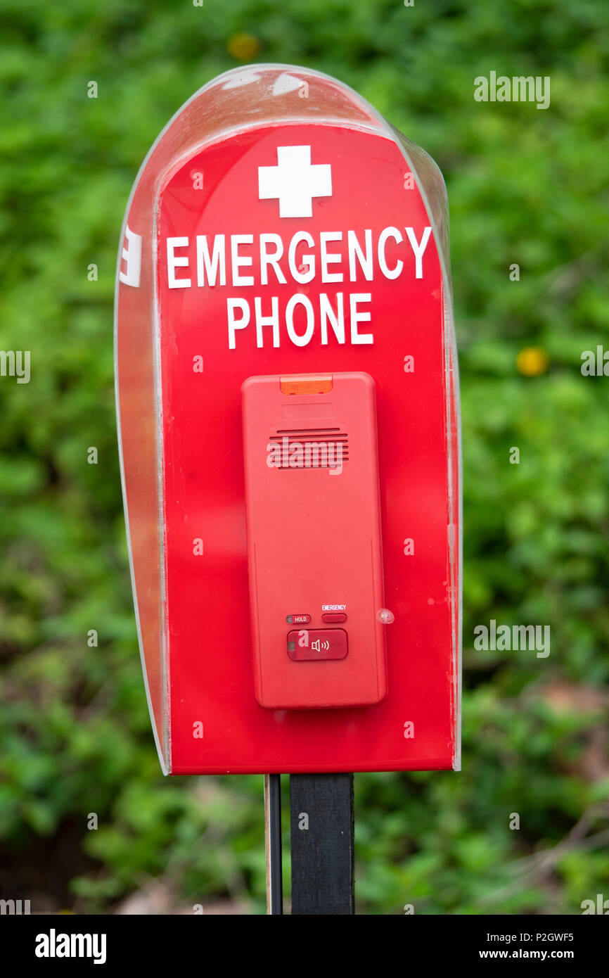 Red emergency phone or safety call box near swimming pool nature ...