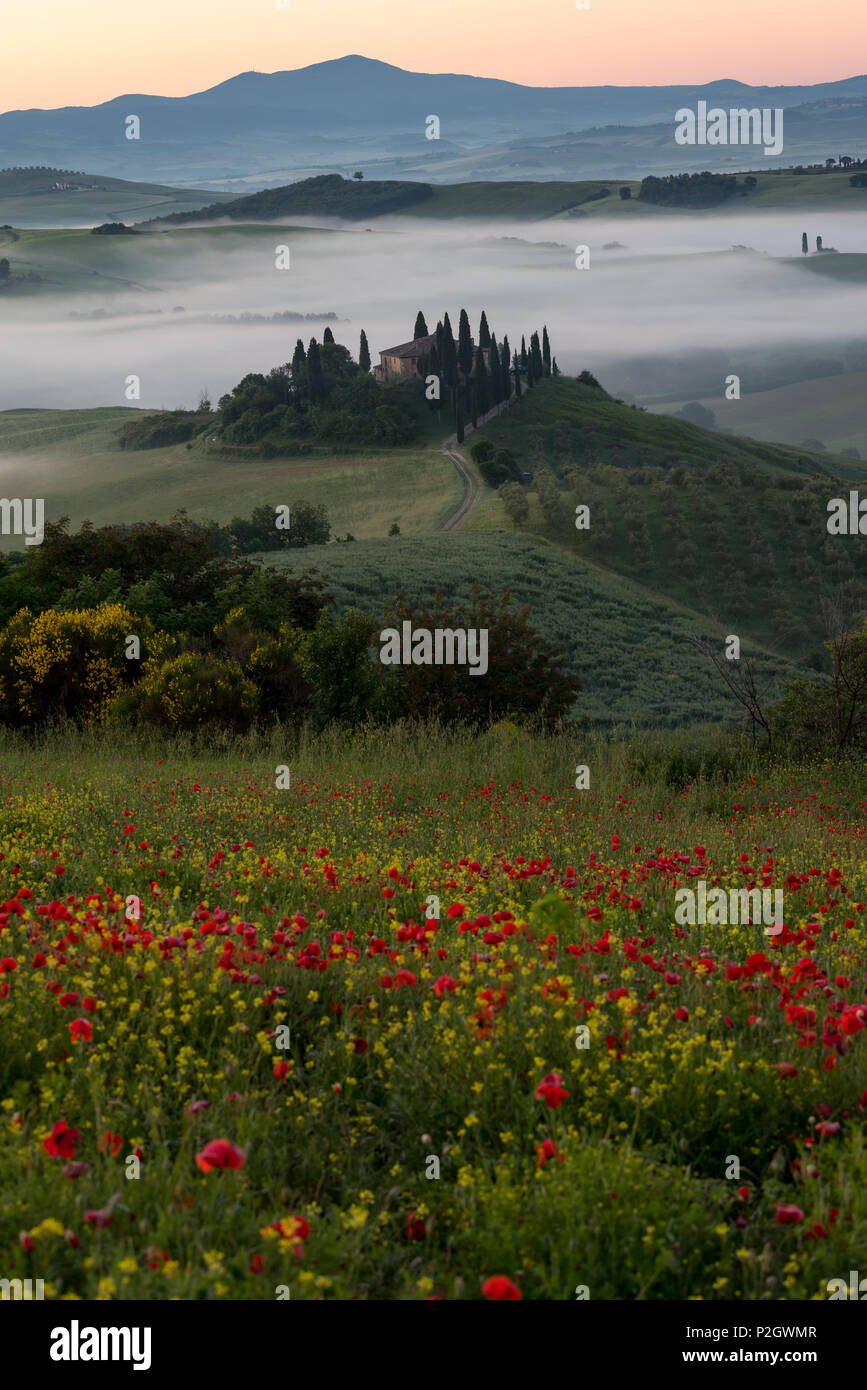 The beauty of the Val d'Orcia in Tuscany , Italy Stock Photo - Alamy
