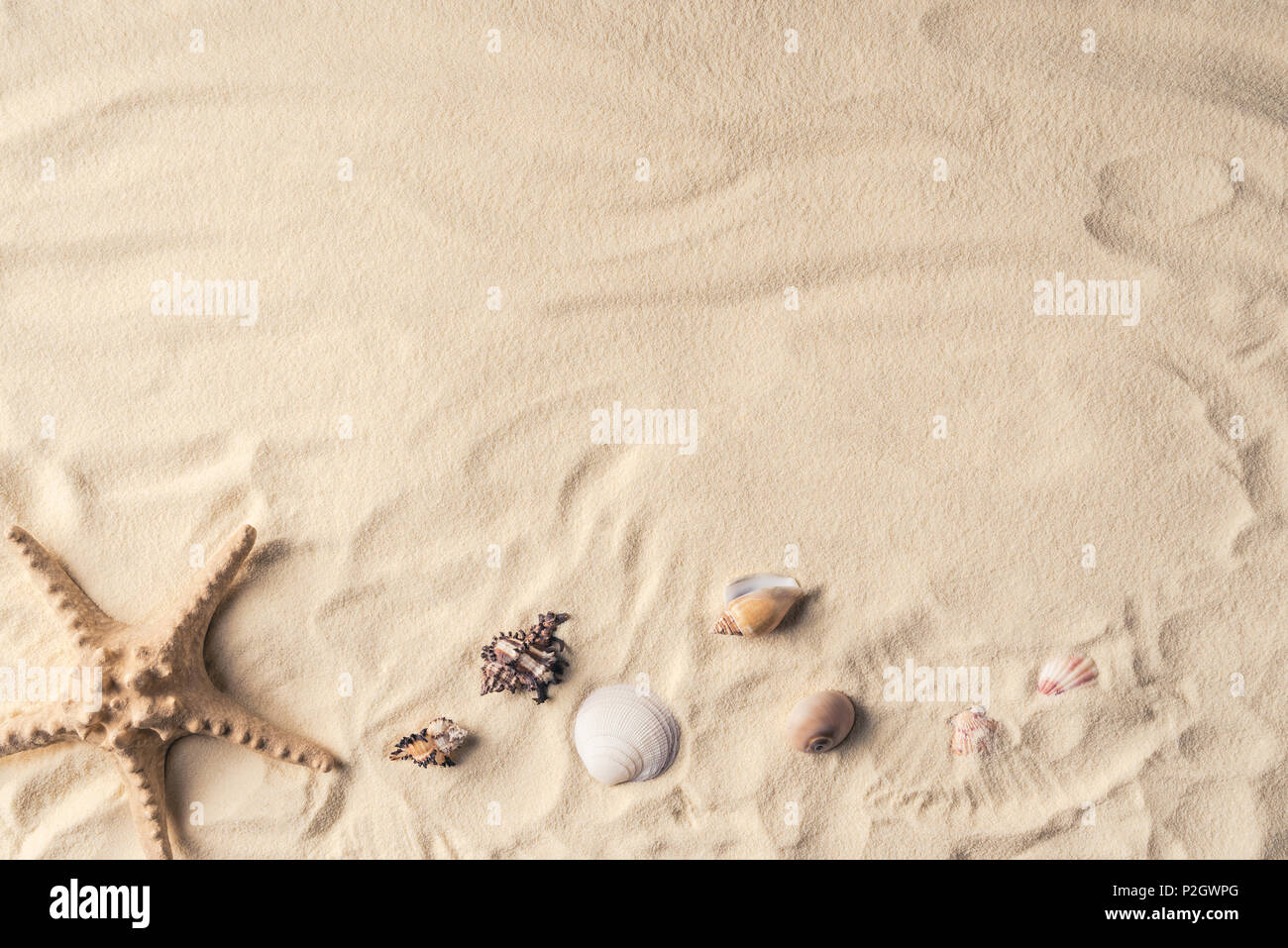 Starfish and sea shells on sandy beach Stock Photo - Alamy
