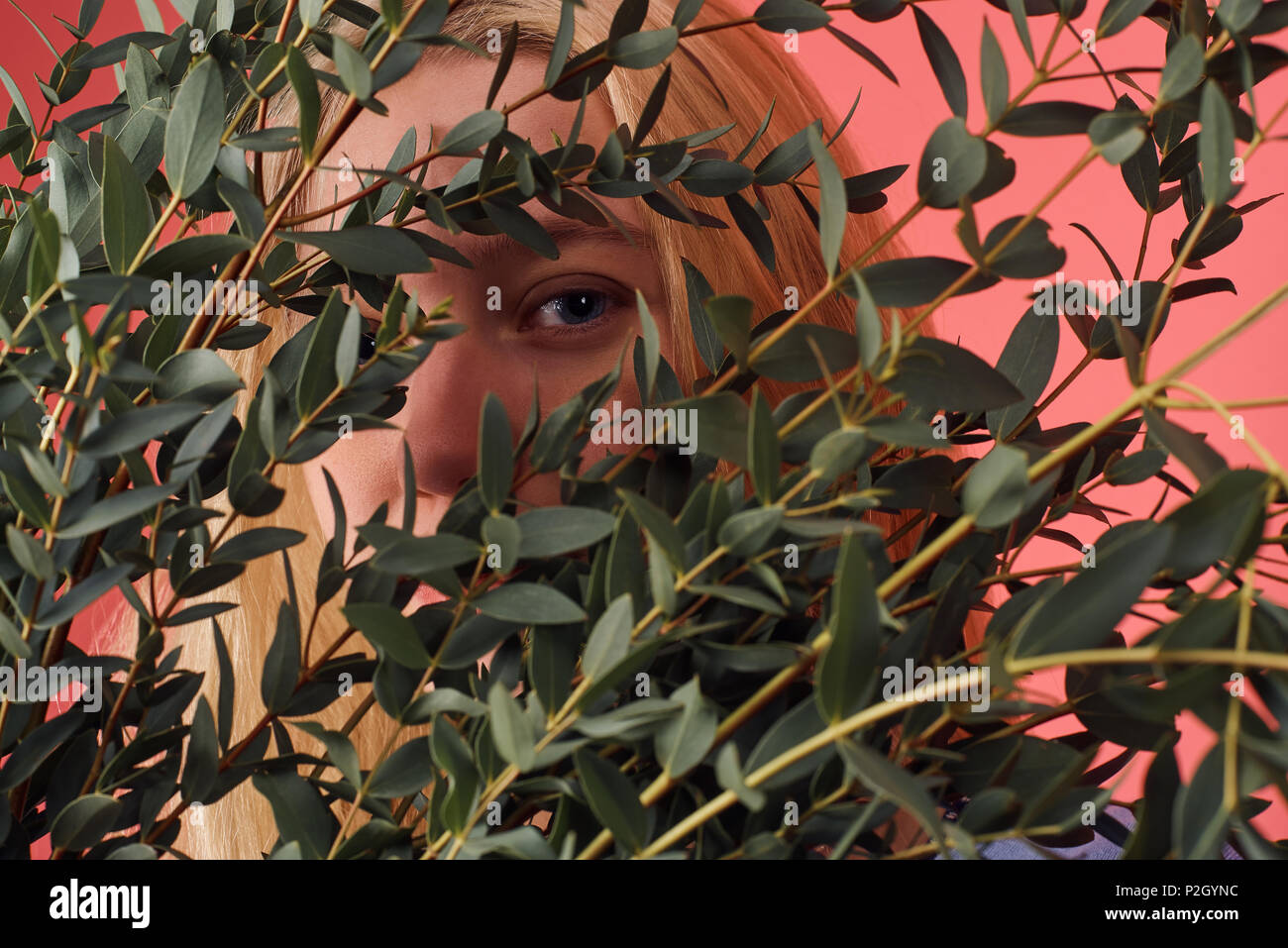Hide Behind Branches High Resolution Stock Photography and Images - Alamy