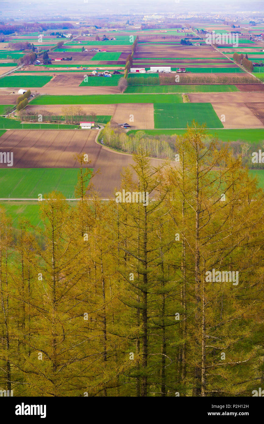 Tokachi plain hi-res stock photography and images - Alamy