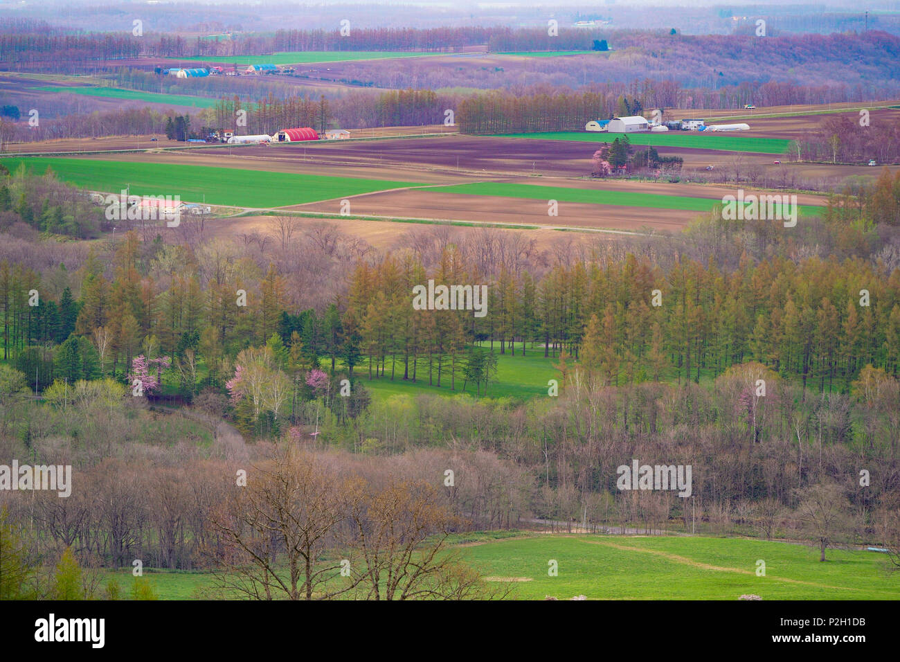 Tokachi plain hi-res stock photography and images - Alamy