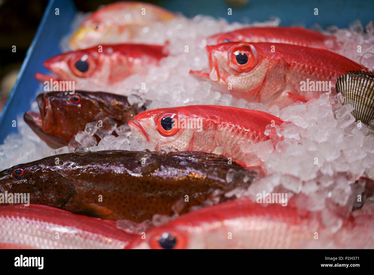 Naha fish market hi-res stock photography and images - Alamy