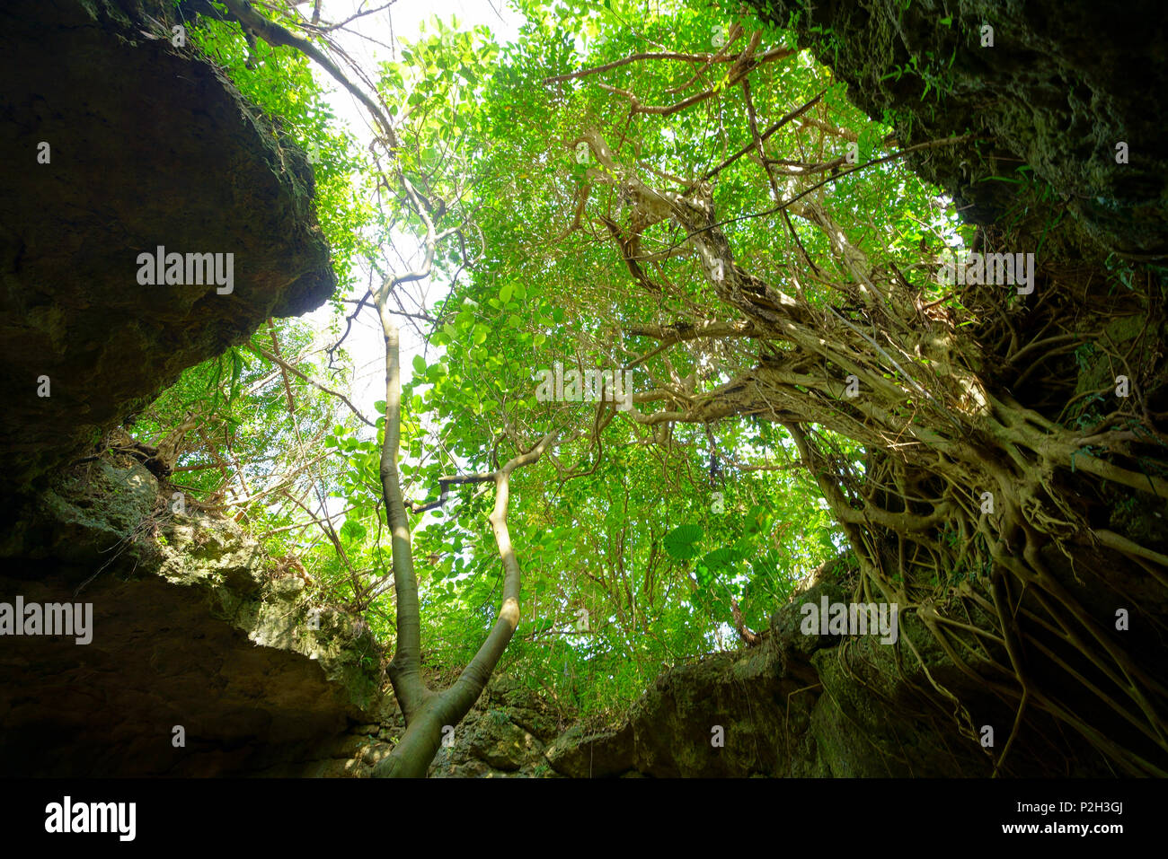 Limestone Cave in Ishigaki Island, Okinawa Prefecture, Japan Stock ...