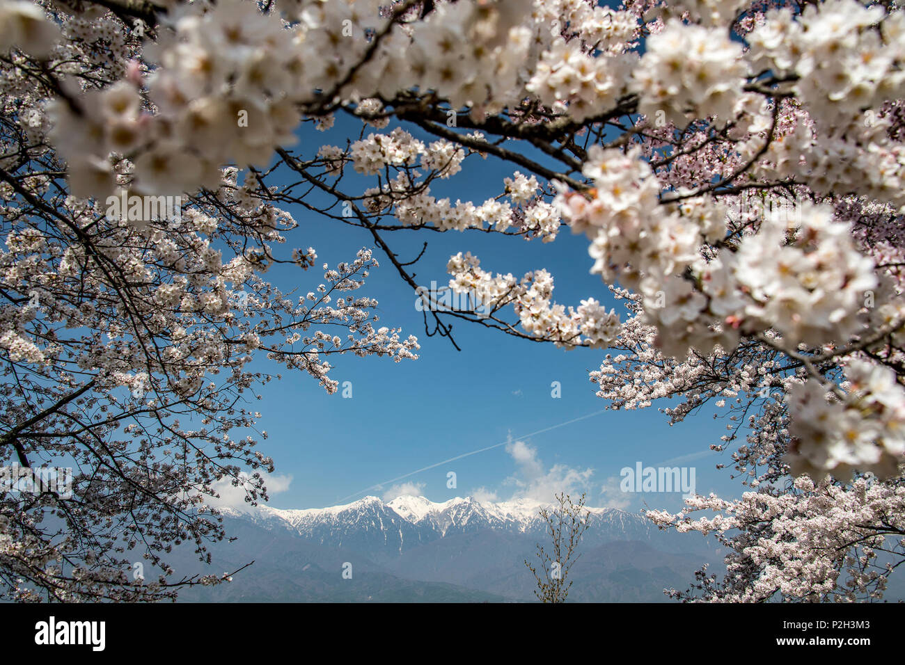 Okuwa nagano japan hi-res stock photography and images - Alamy