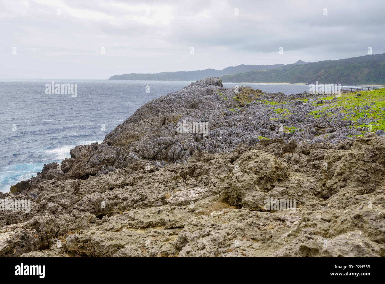 Hedo High Resolution Stock Photography and Images - Alamy