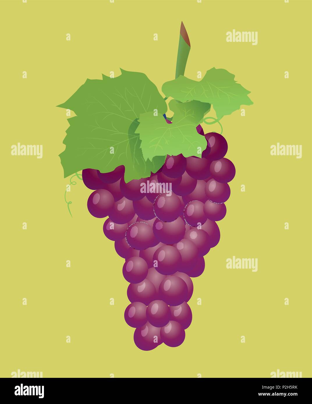 Grapes hanging Stock Vector Images - Alamy