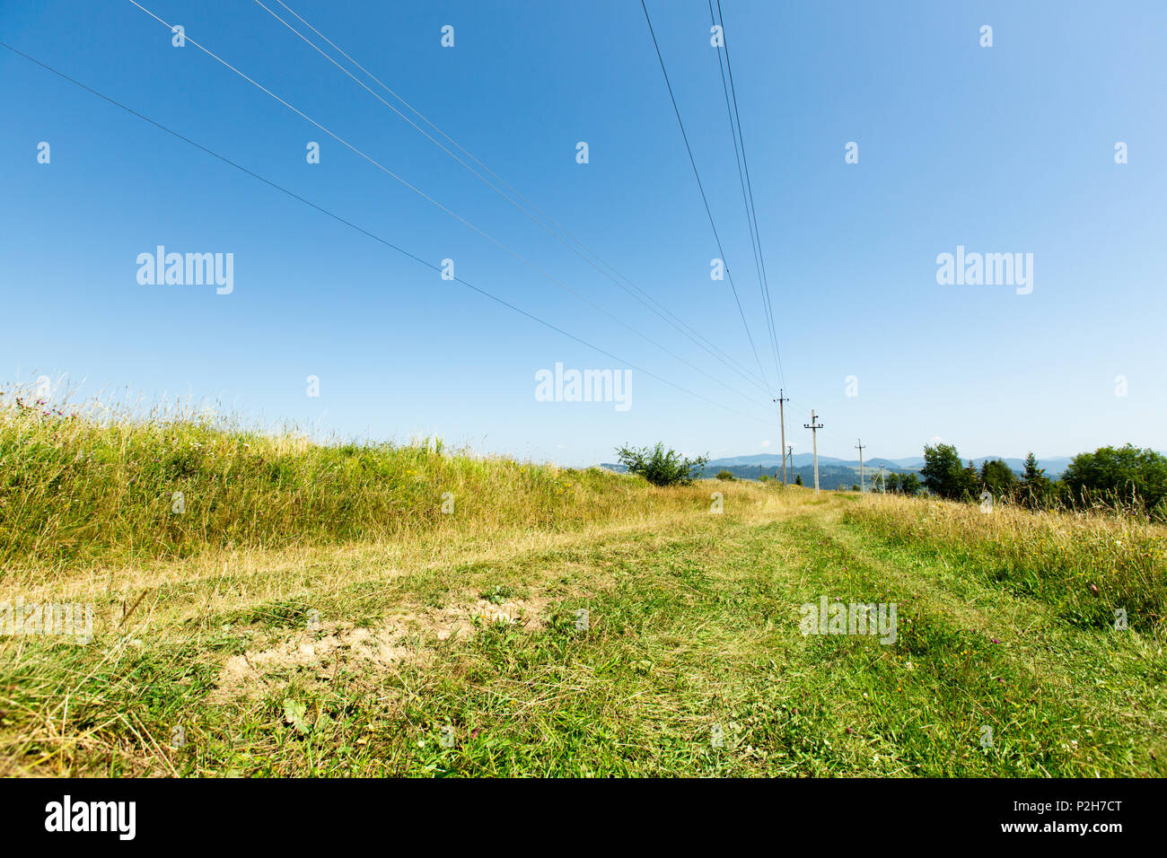 The road is among the tall grass. Pillars with wires Stock Photo - Alamy