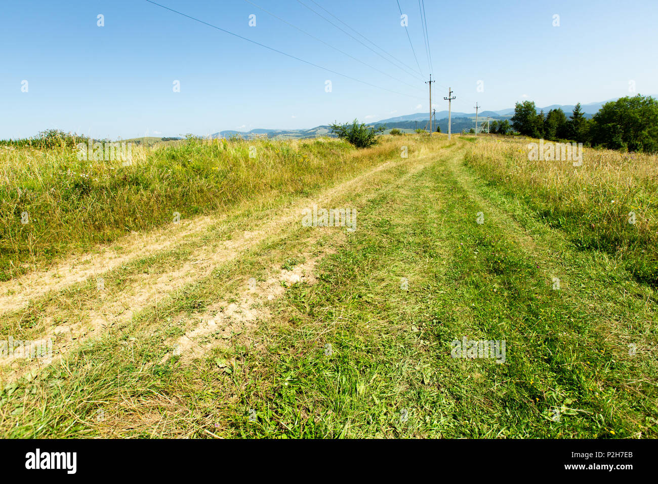 The road is among the tall grass. Pillars with wires Stock Photo - Alamy