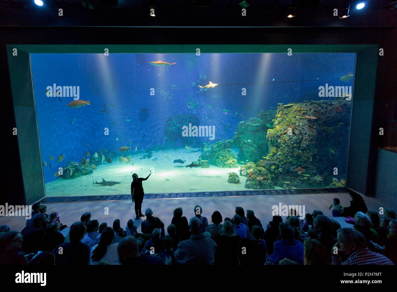 Den Bla Planet, Blue Planet Aquarium, Copenhagen, Denmark Stock Photo ...