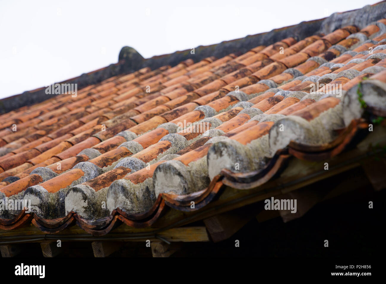 Okinawa red tile roof hi-res stock photography and images - Alamy