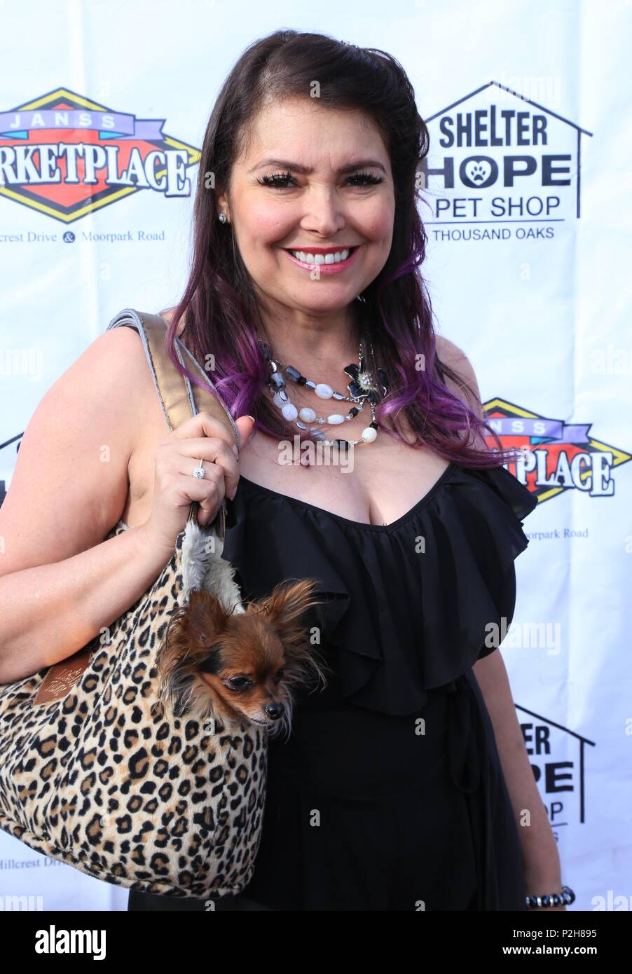 Shelter Hope Pet Shop's first annual fundraiser gala and rescue me ...