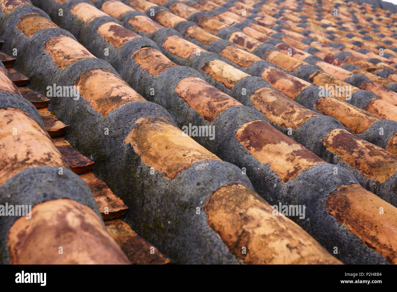 Red Roof Tiles Stock Photo - Alamy