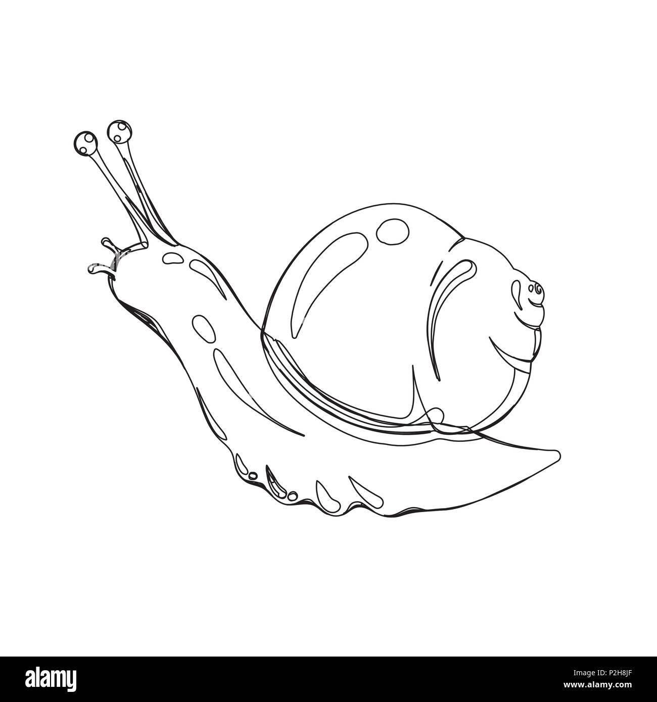 Vector illustration of snail in continious line graphic style, black ...