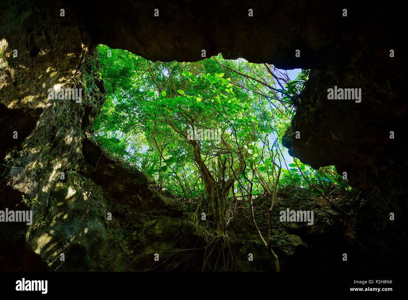Ishigaki island limestone cave hi-res stock photography and images - Alamy