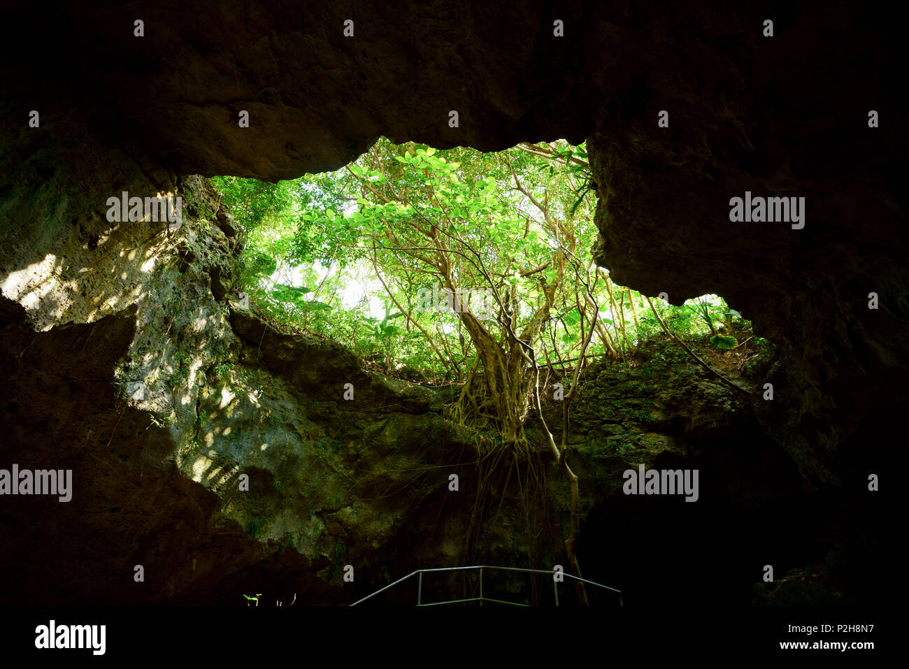 Ishigaki island limestone cave hi-res stock photography and images - Alamy