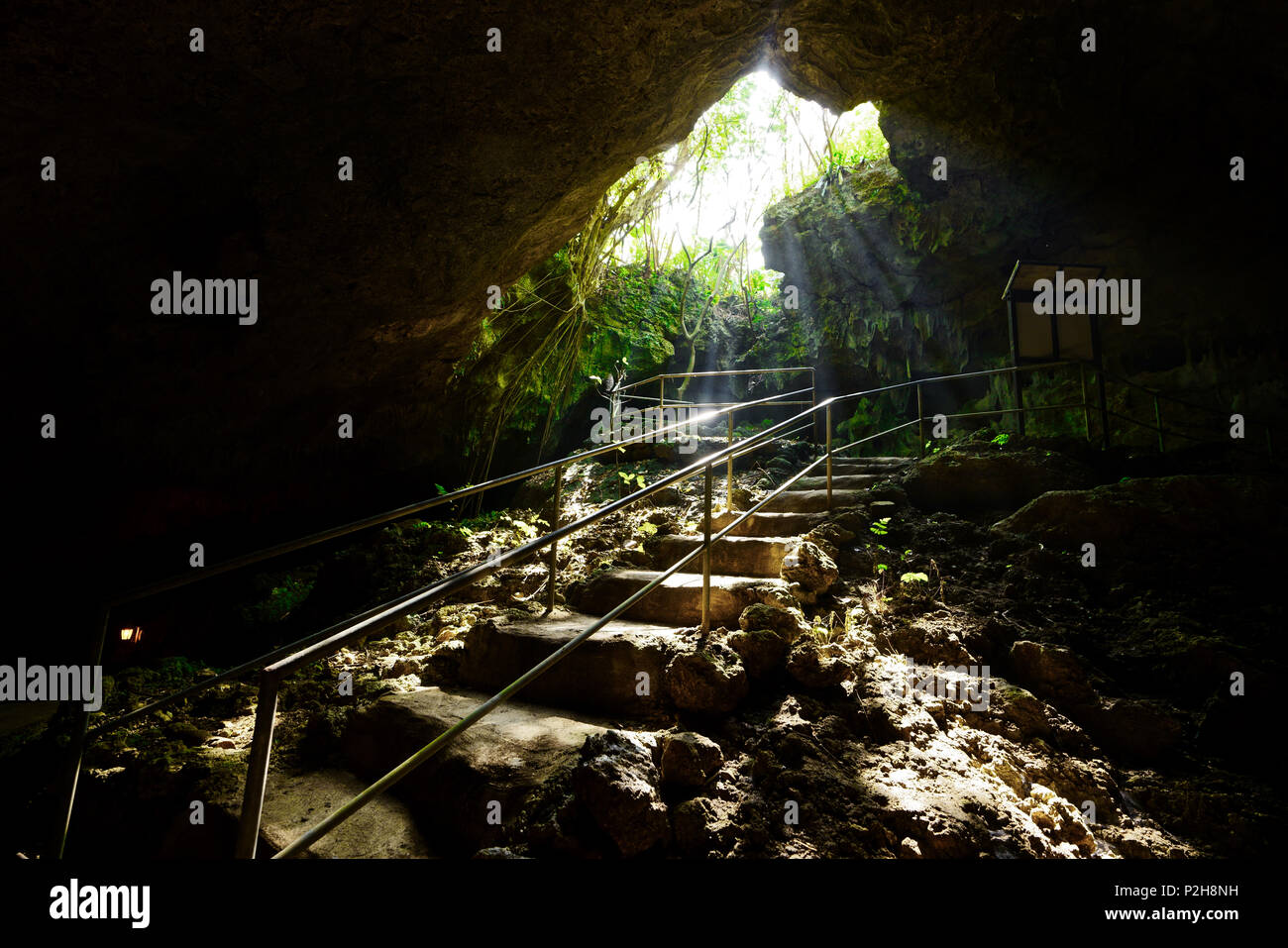 Ishigaki island limestone cave hi-res stock photography and images - Alamy