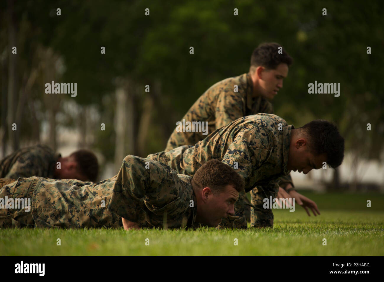 Marines perform burpees during a Company C squad competition at ...