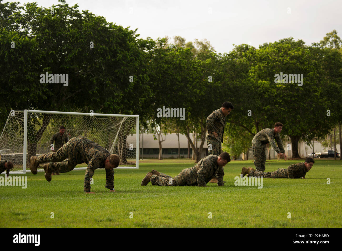 Marines perform burpees during a Company C squad competition at ...
