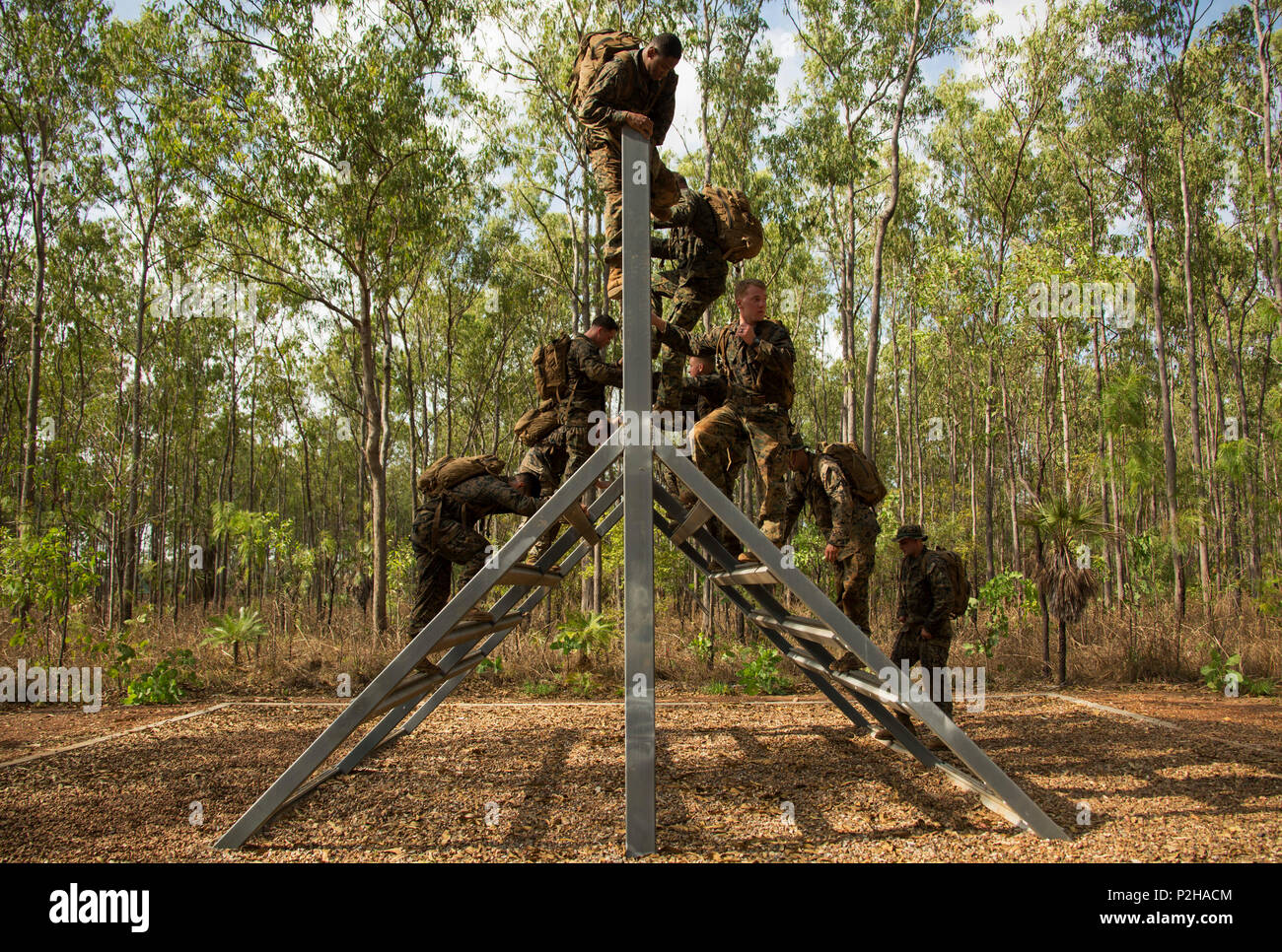 Marines climb over an obstacle during a Charlie Company, 1st Battalion ...