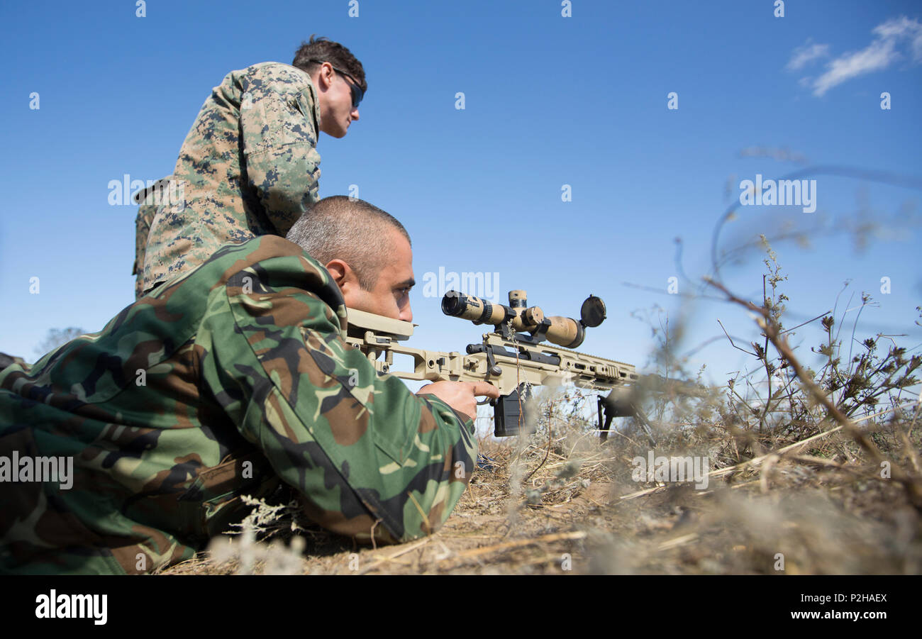 A Romanian Soldier fires the M-40 A-6 sniper rifle of a U.S. Marine ...