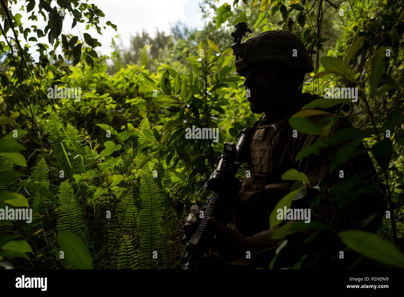0311 rifleman hi-res stock photography and images - Alamy