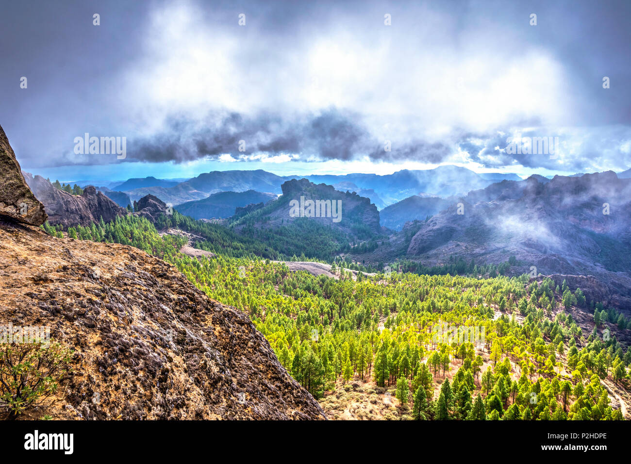 View over Canarian pine forest and rocky landscape at Gran Canaria ...