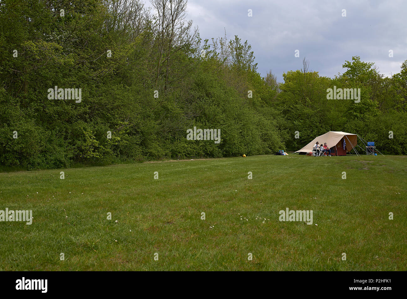 Landscape shot of a large open field on the edge of a forest with a ...