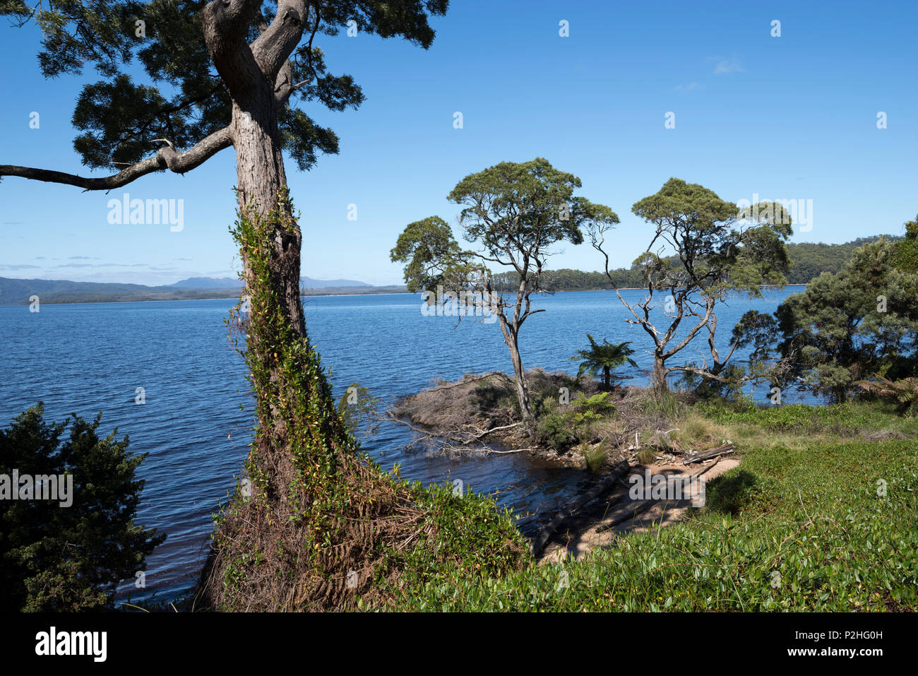 Sarah Island, Macquarie Harbour, Tasmania Stock Photo - Alamy