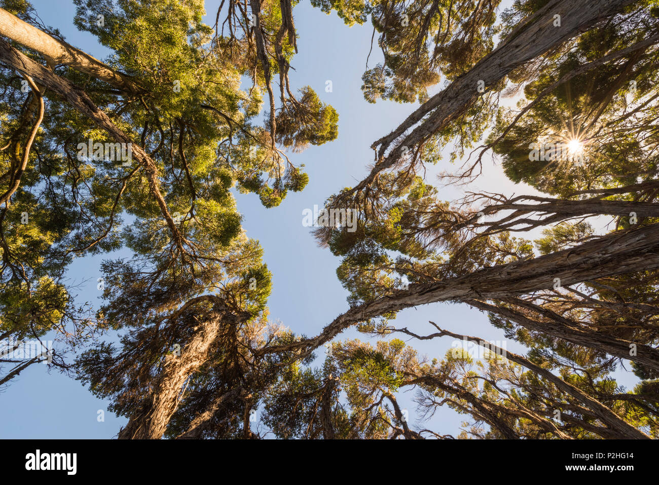 Sarah Island, Macquarie Harbour, Tasmania Stock Photo - Alamy