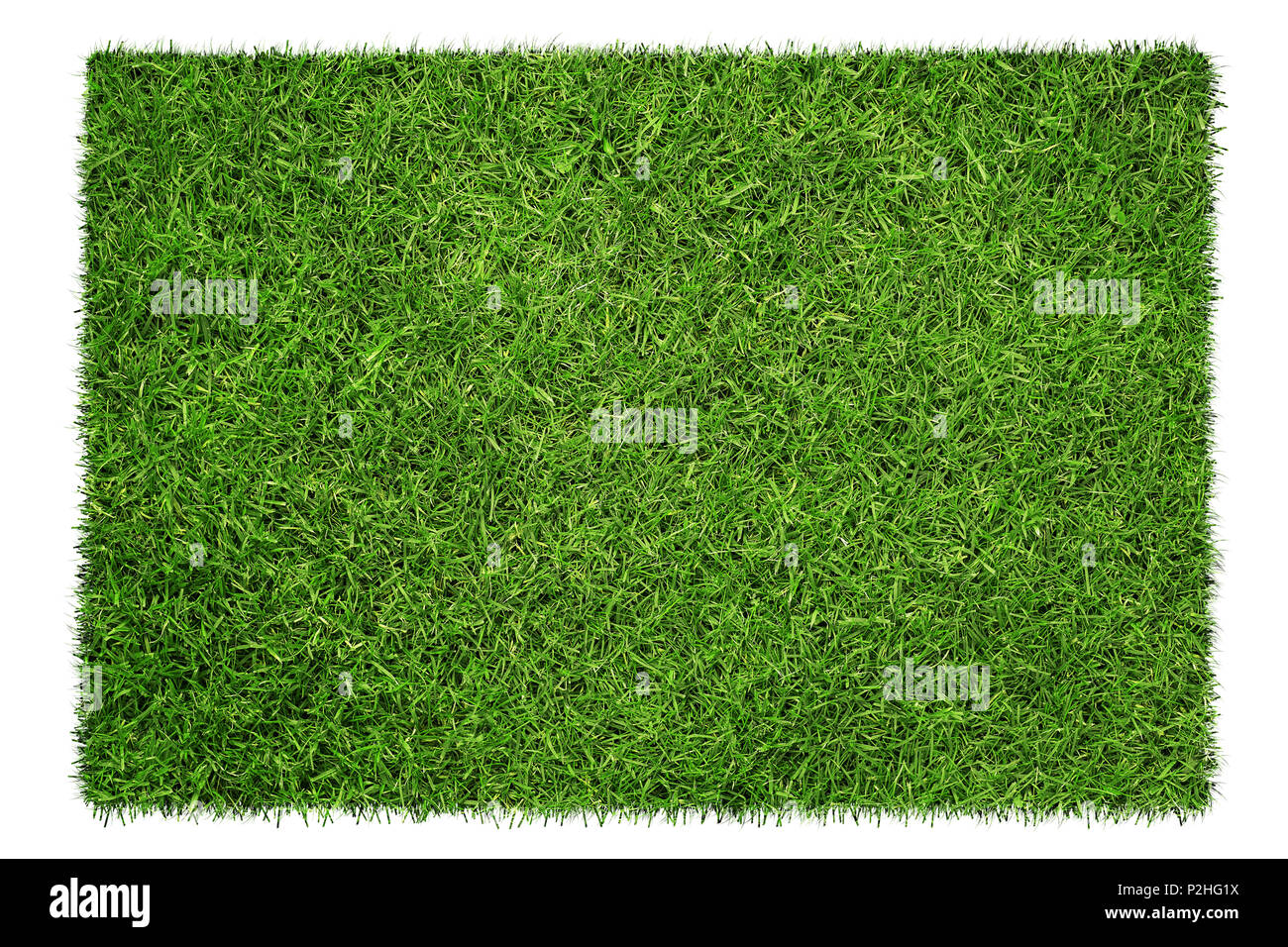 Lush green growth grass pasture hi-res stock photography and images - Alamy