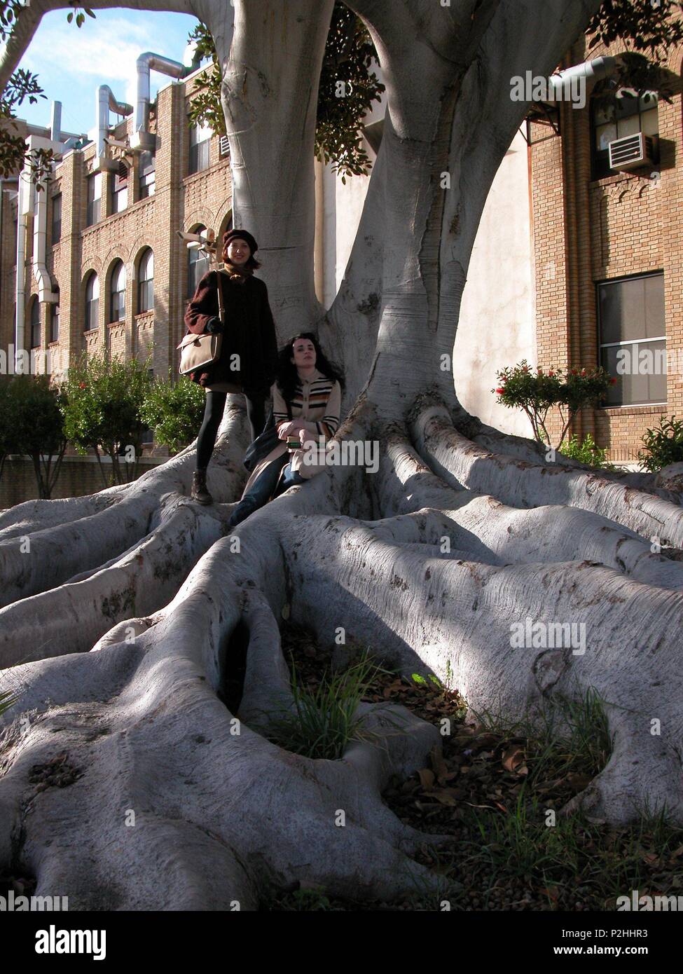 Original Film Title: RED ROSES AND PETROL. English Title: RED ROSES AND ...