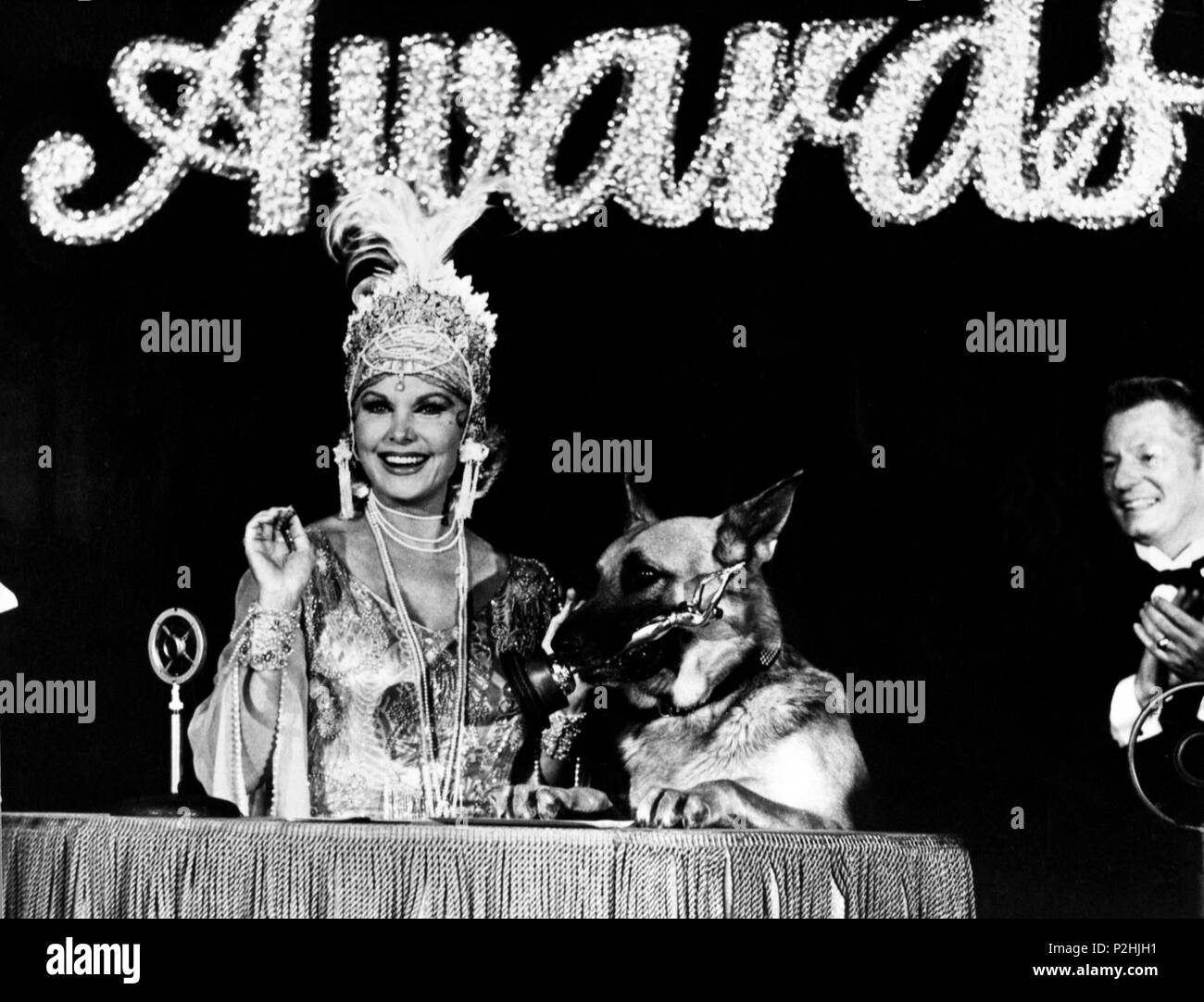 Original Film Title: WON TON TON, THE DOG WHO SAVED HOLLYWOOD. English ...