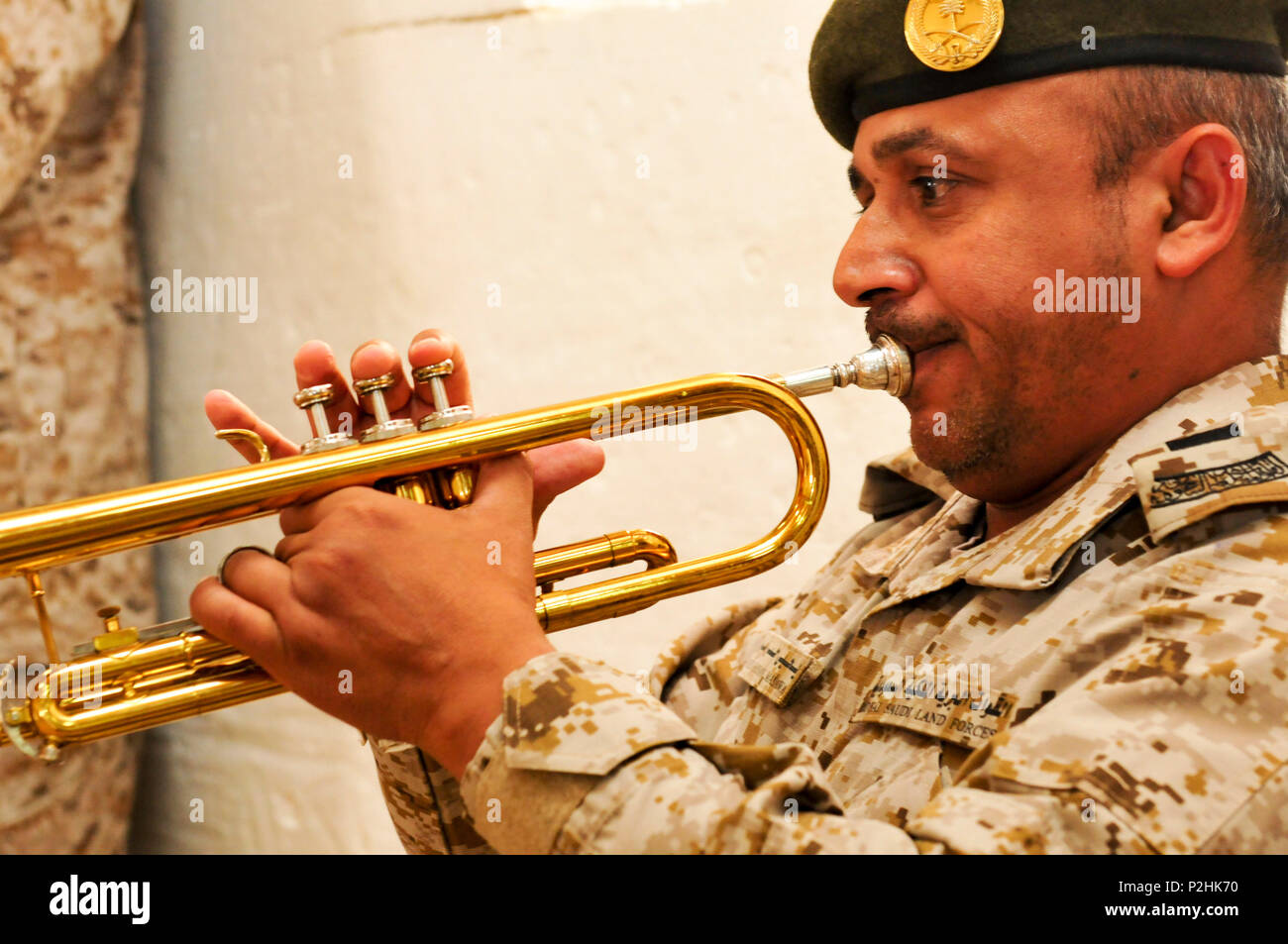 Royal saudi land rslf personnel hi-res stock photography and images - Alamy