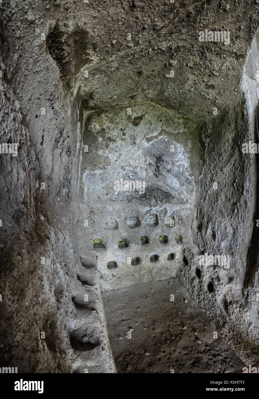 Breeding cave hi-res stock photography and images - Alamy