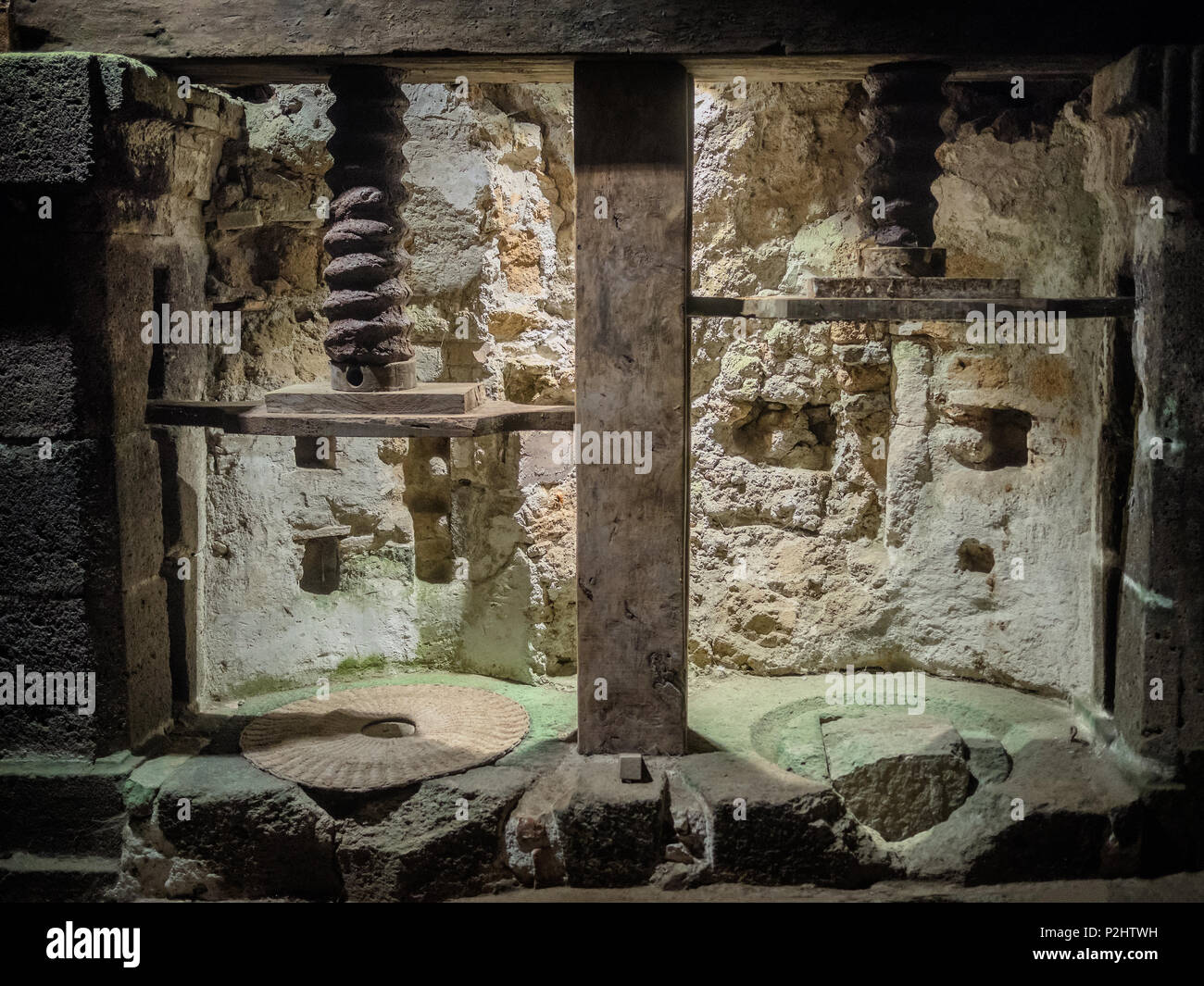 Breeding caves hi-res stock photography and images - Alamy