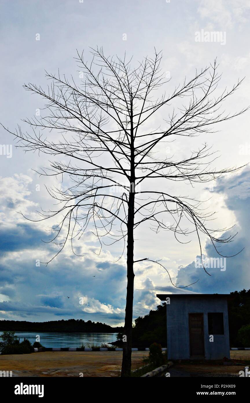 Ranting hi-res stock photography and images - Alamy