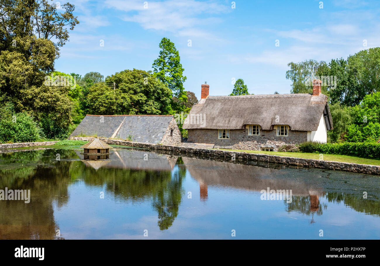 Duck house by pond hi-res stock photography and images - Alamy