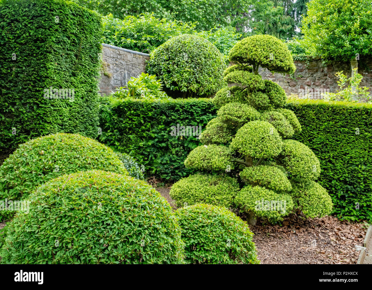 Clever use of sculptural topiary shapes in a domestic garden setting ...