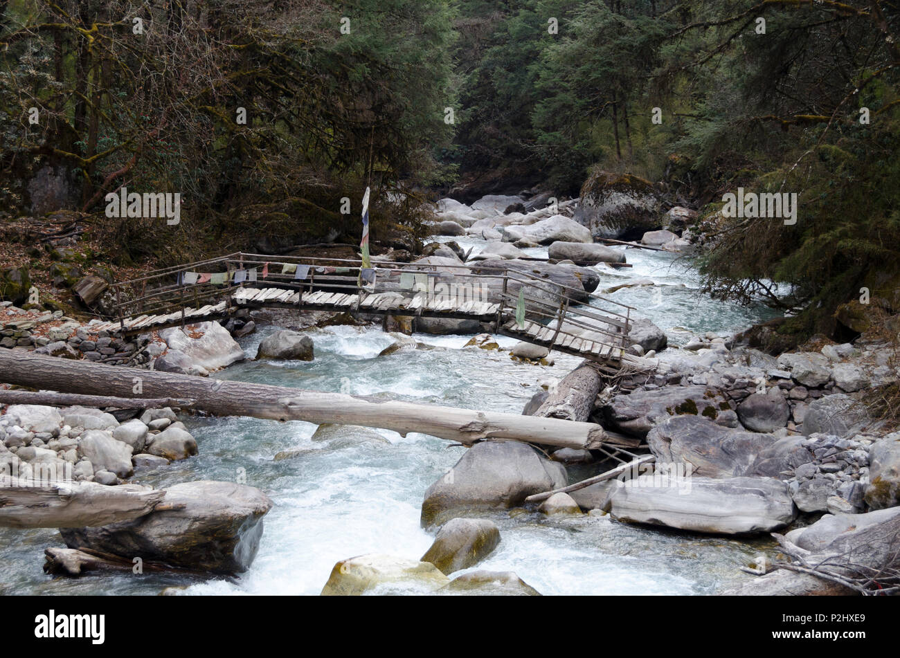 Traditional cantilever bridge over river, Woodlands, Langtang Valley ...