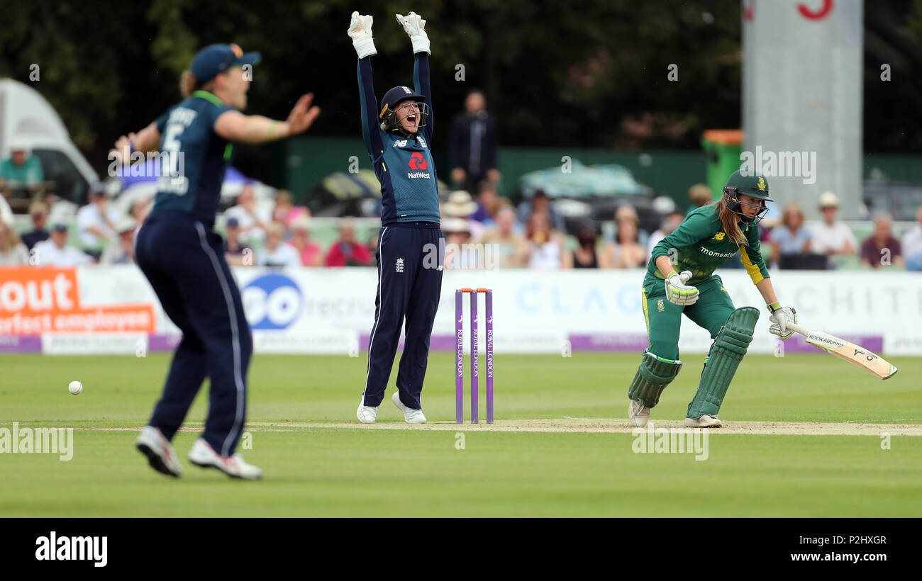 Wicket south africas andrie steyn hi-res stock photography and images ...