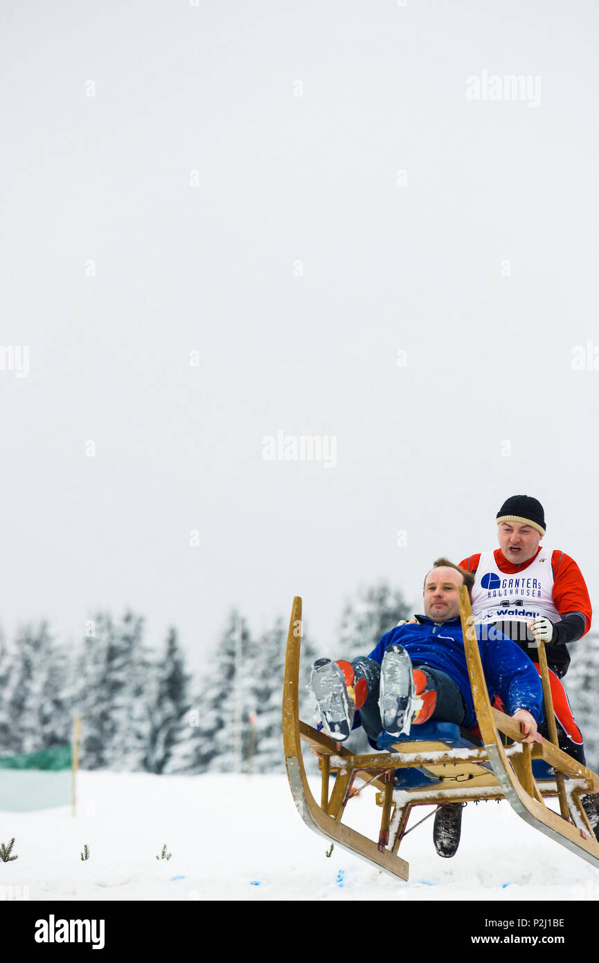 Traditional sled race, Waldau, Titisee-Neustadt, Black Forest, Baden ...