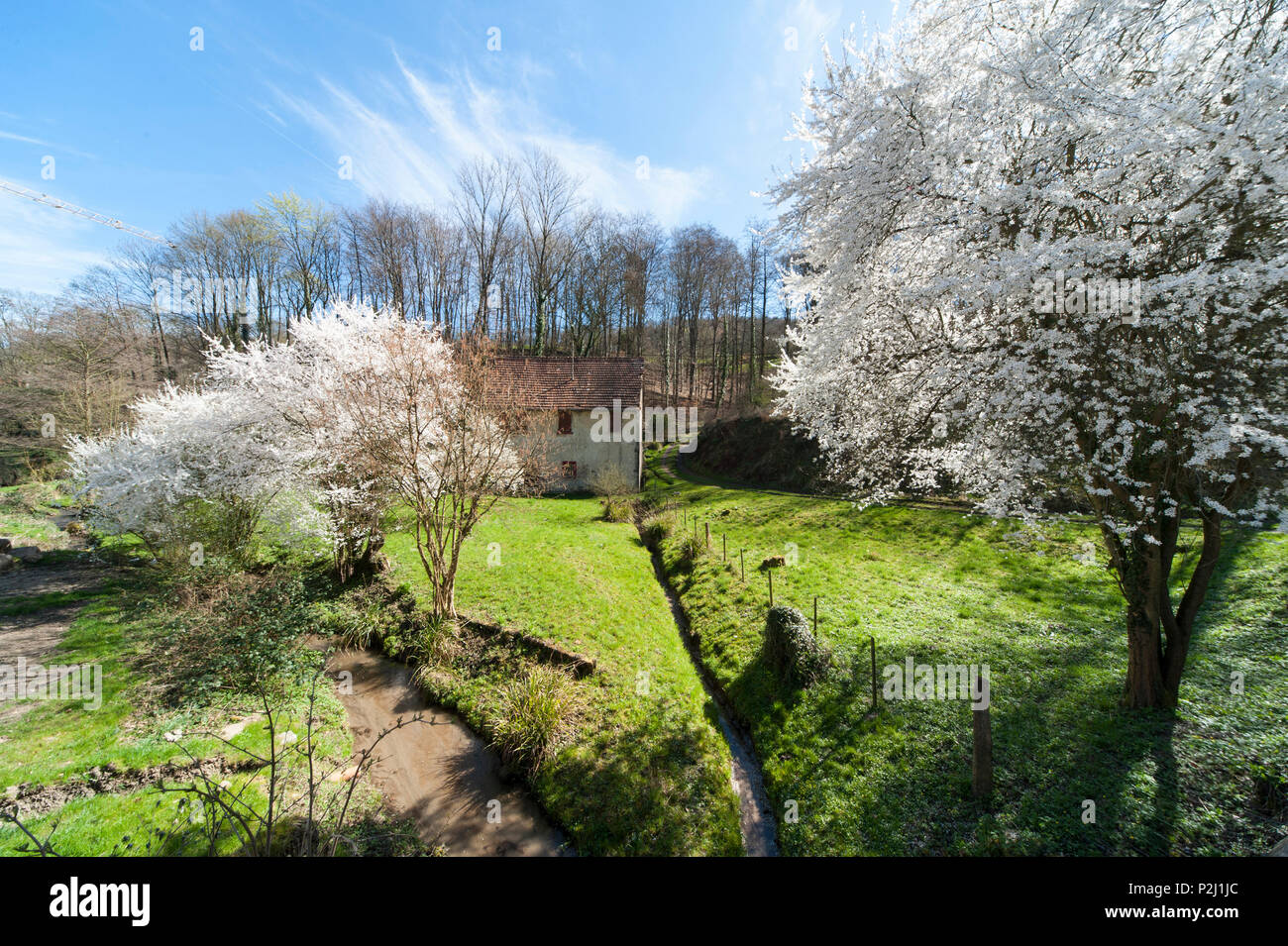 Laudenbach hi-res stock photography and images - Alamy