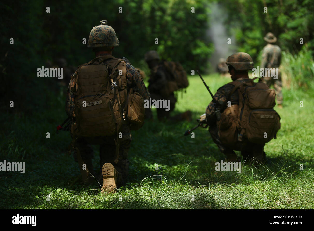 U.S. Marines with Charlie Company, 1st Battalion, 3rd Marine Regiment ...
