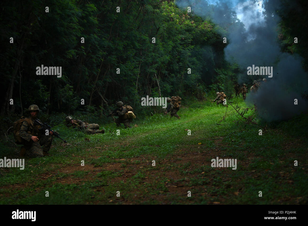 U.S. Marines with Charlie Company, 1st Battalion, 3rd Marine Regiment ...
