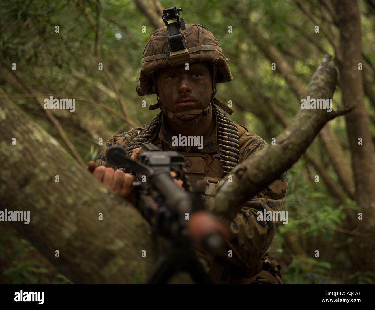 KAHUKU TRAINING FACILITY – Cpl. Zachary Thomas, a rifleman with Charlie ...