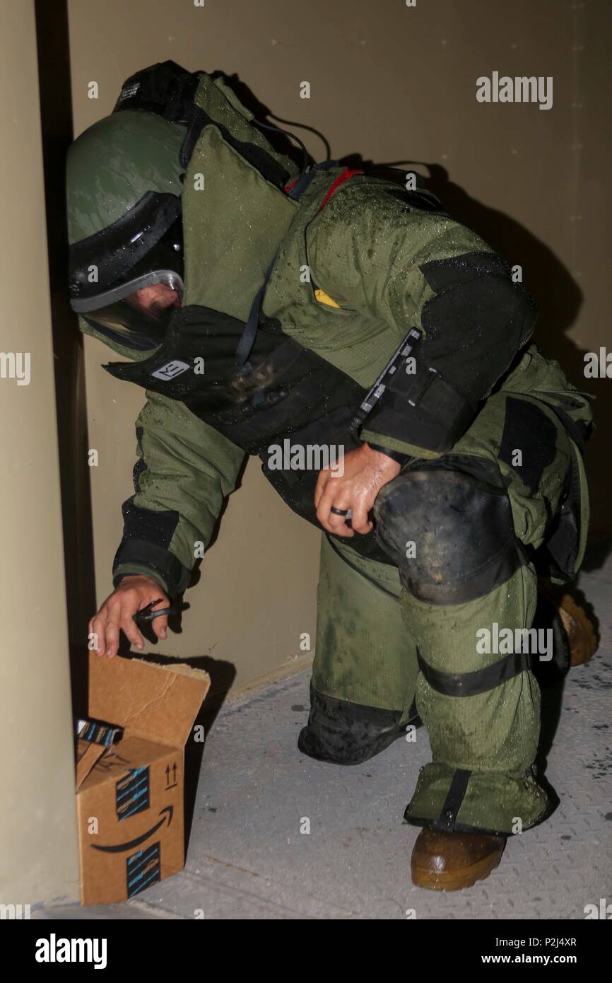 A U.S. Marine with Explosive Ordinance Disposal (EOD) Company, 8th ...